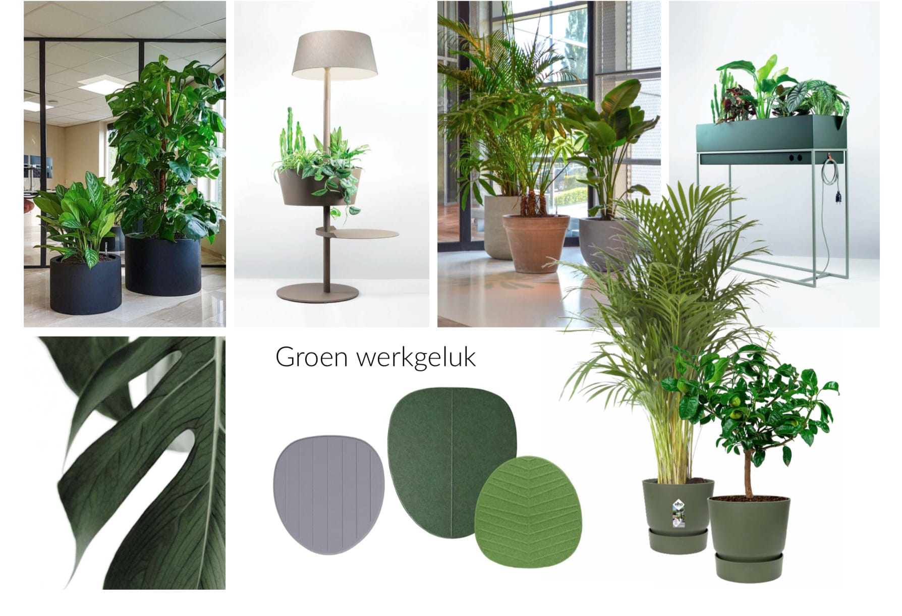 Bibliotheek West Brabant - Globalfacilities